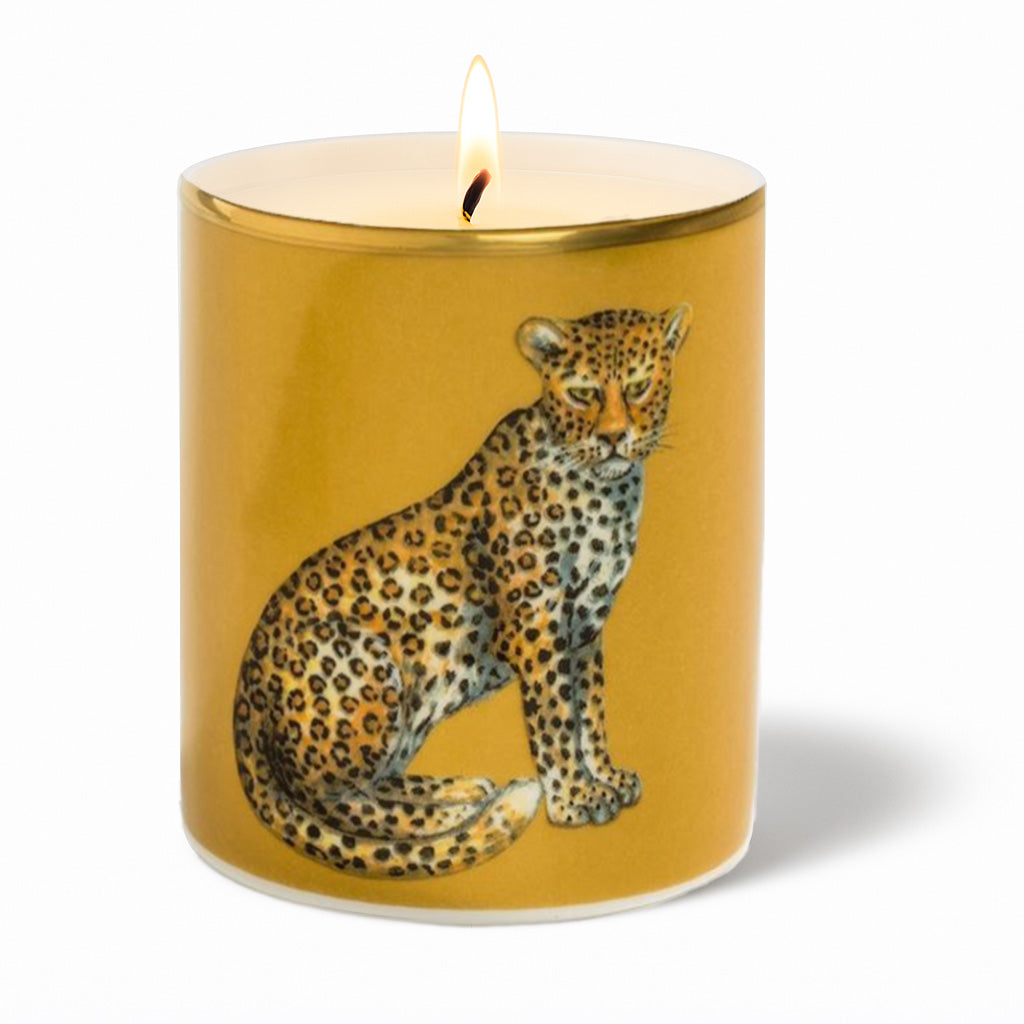 Magnificent Wildlife Leopard - Fine Bone China Candle in Gold – Jasmin ...
